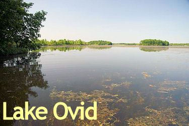 Lake Ovid - Alchetron, The Free Social Encyclopedia