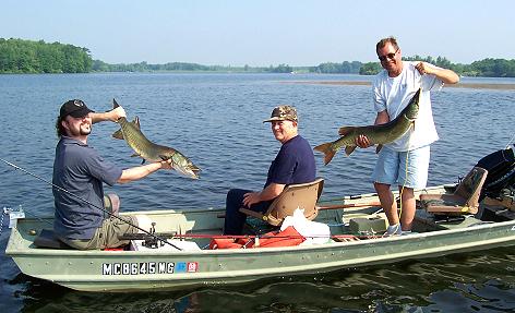 muskie in lake ovid | Michigan Sportsman Forum